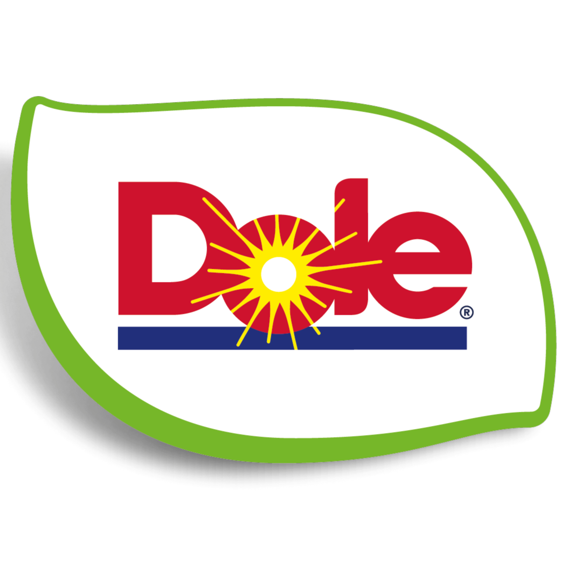 Critical Capabilities | C.H. Robinson